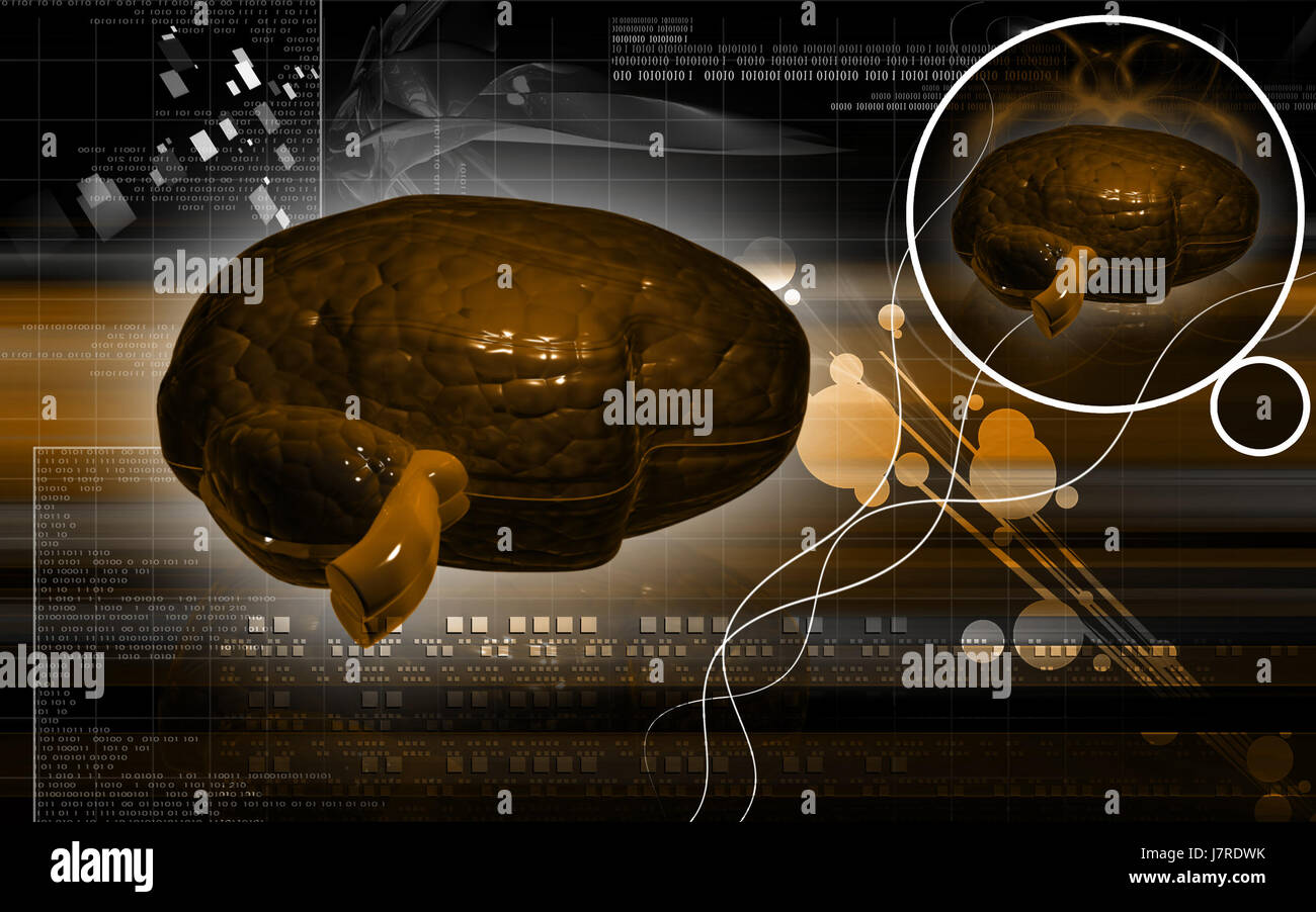 health medicinally medical graphics colour human human being ...