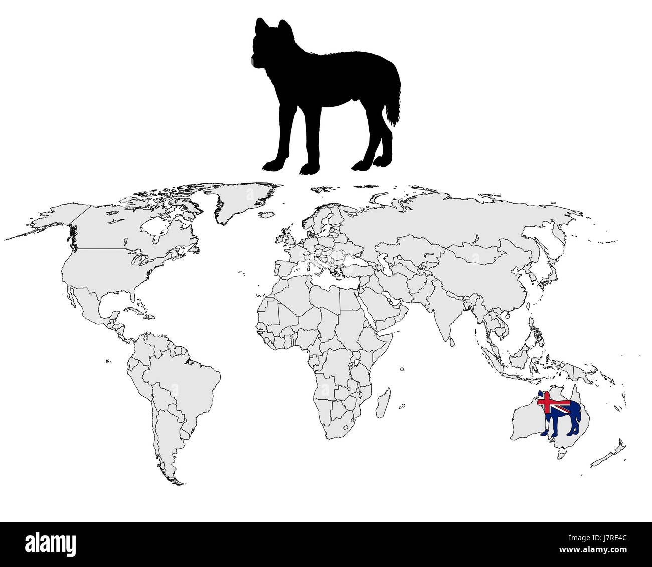 Australian dingo Cut Out Stock Images & Pictures - Alamy