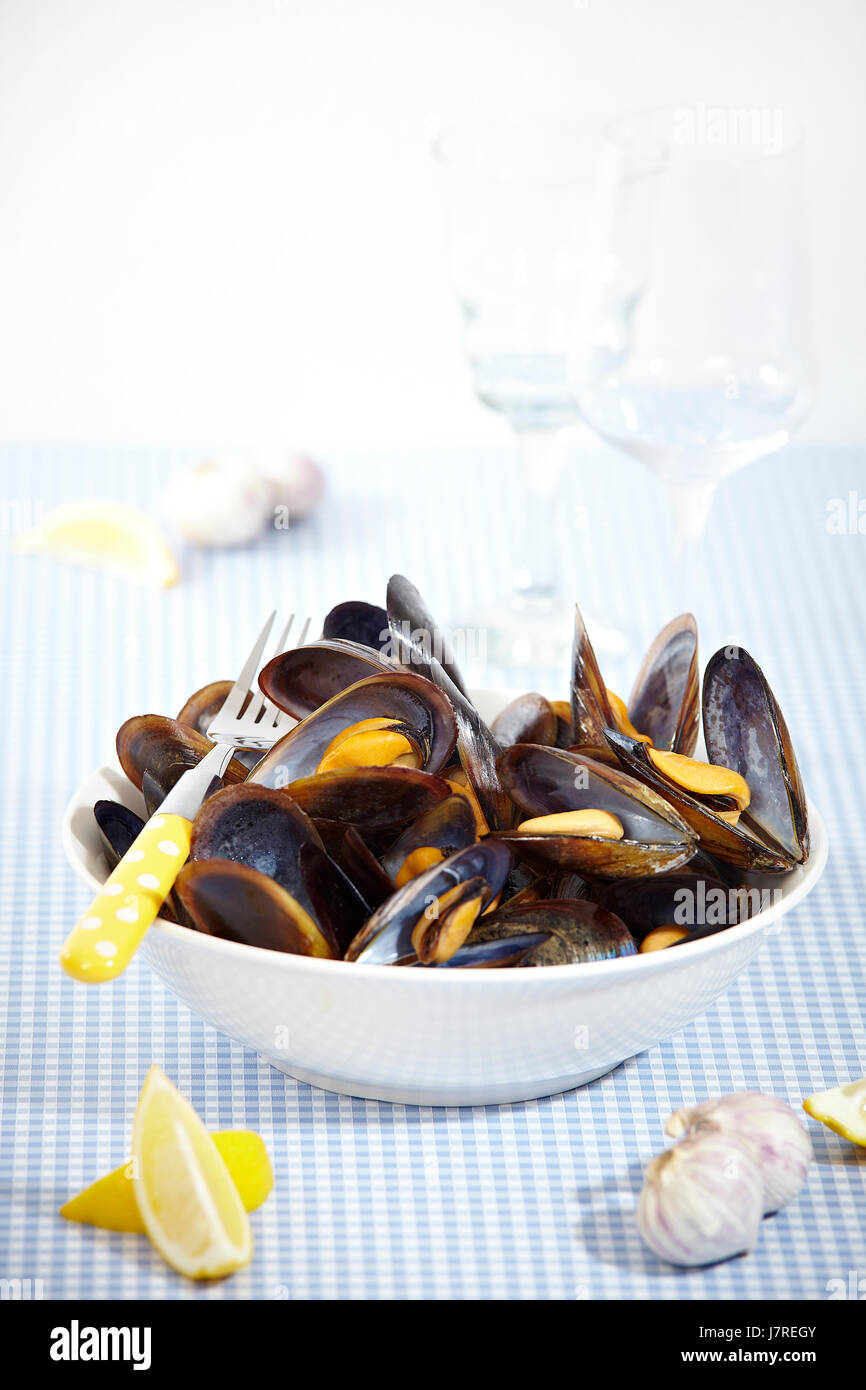 Abalone shellfish shell fish hi-res stock photography and images - Alamy