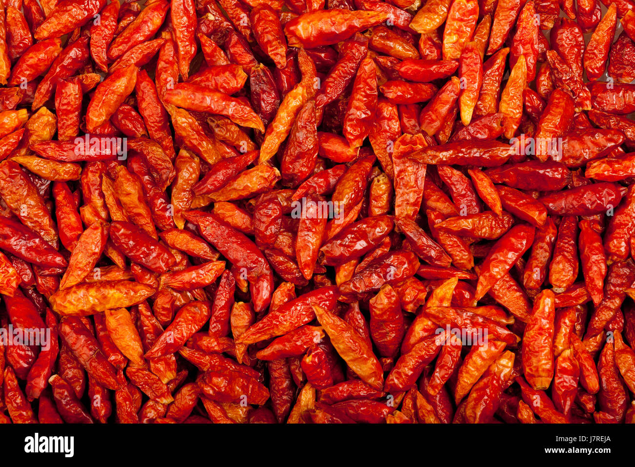 hot spicy paprika peppers wallpaper pattern chilli chili backdrop ...