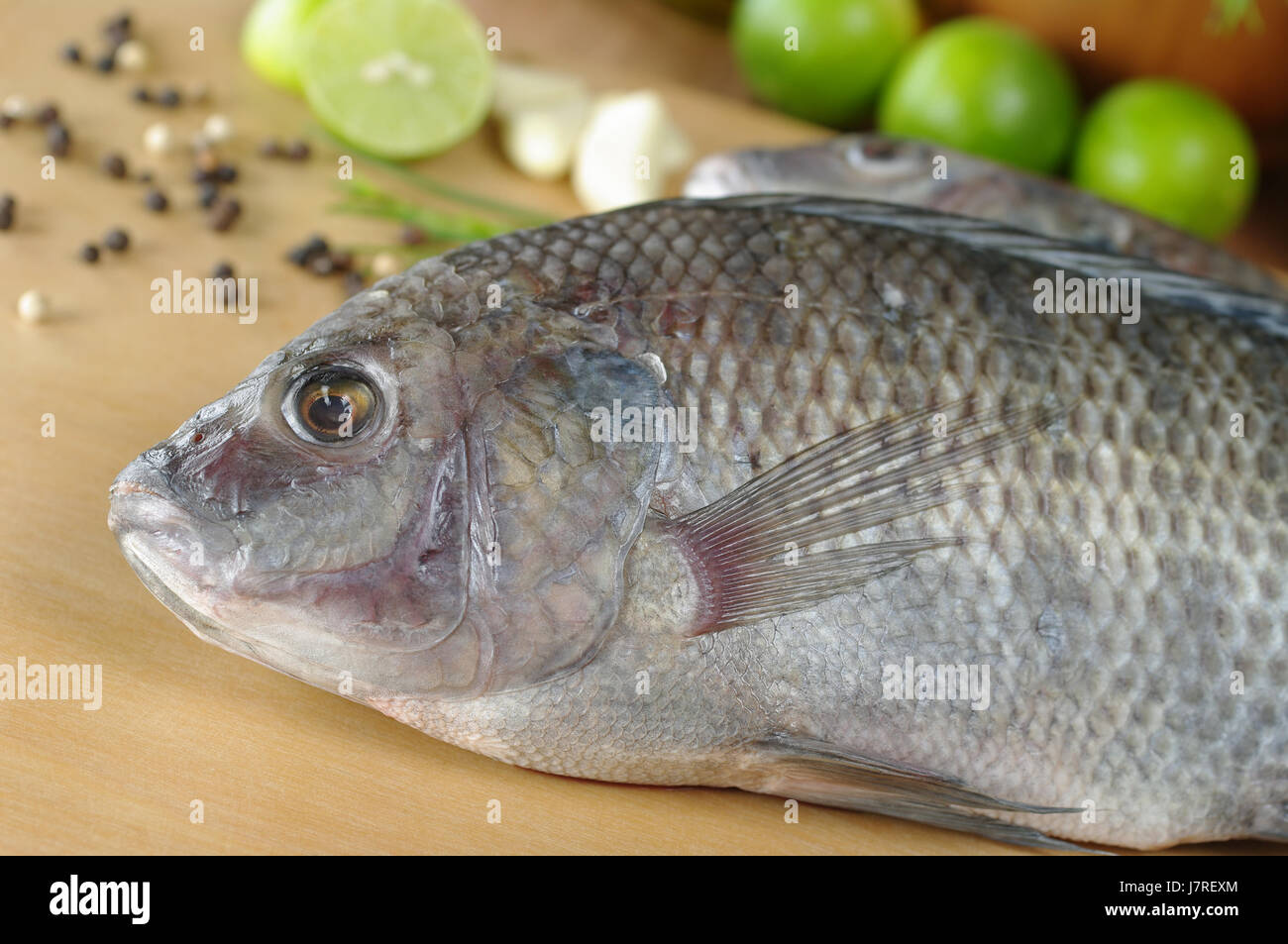Operculum fish hi-res stock photography and images - Alamy