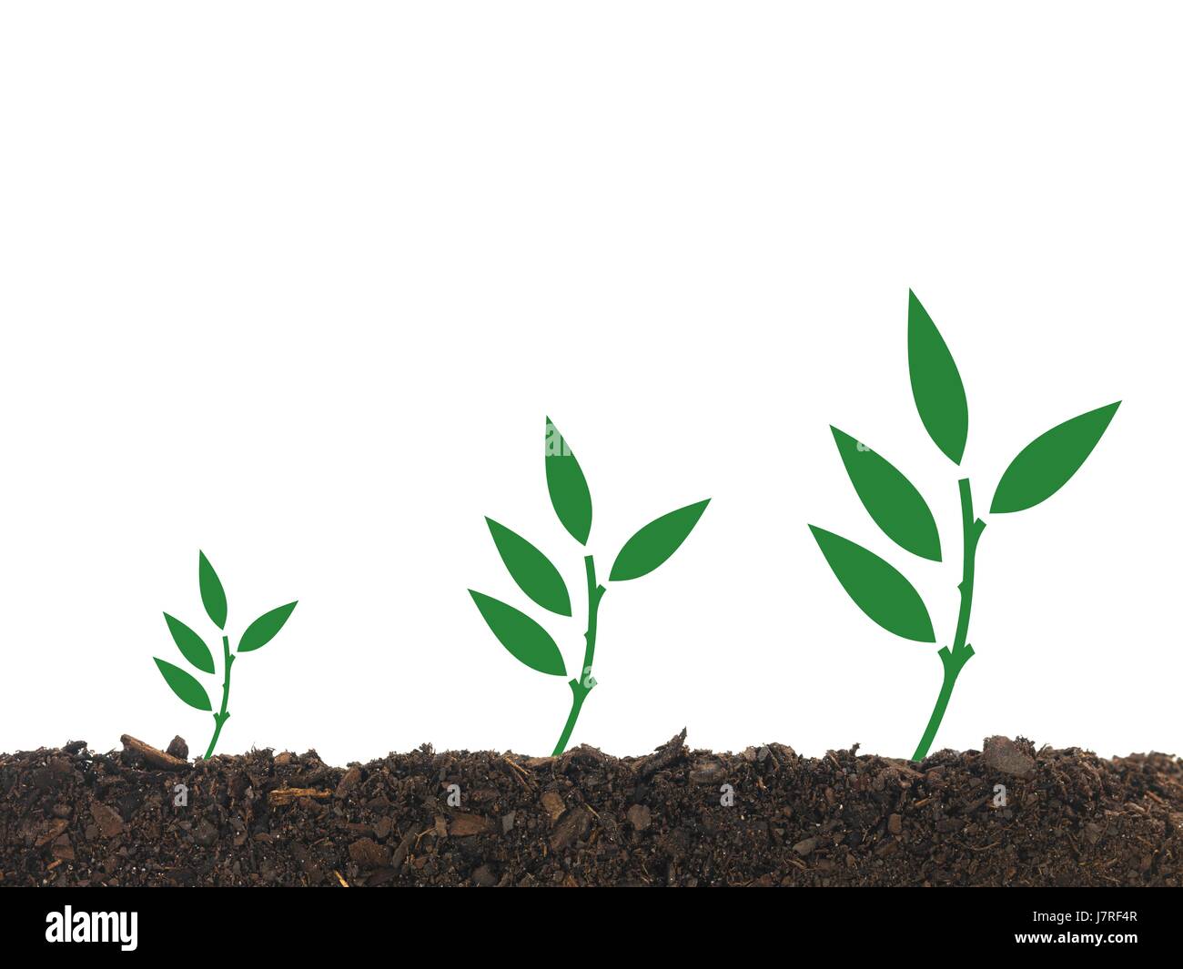 close environment enviroment isolated closeup tree ground soil earth ...