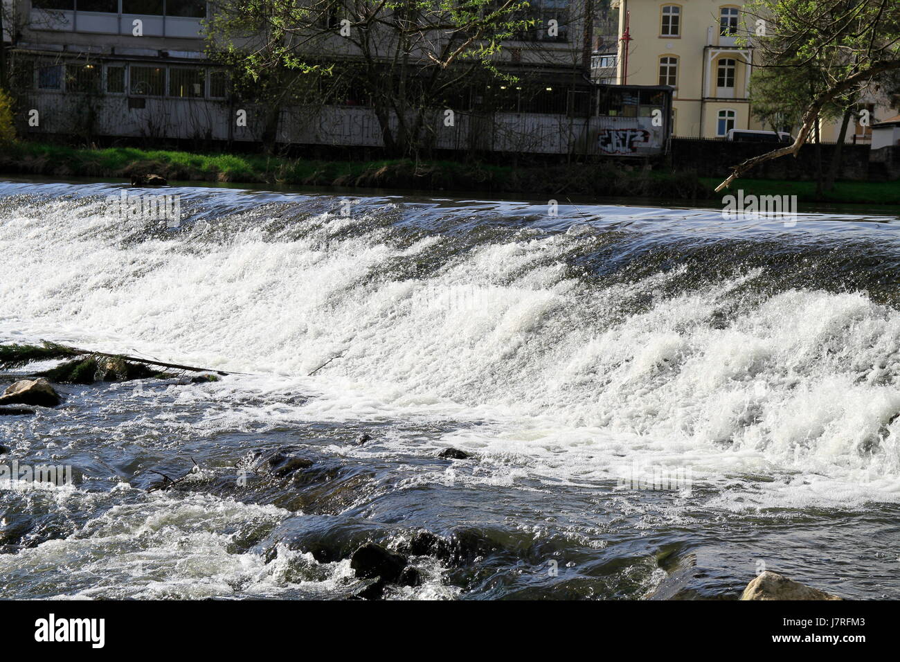 waterfall rapids bank river water shore tree trees flow fluent stone ...