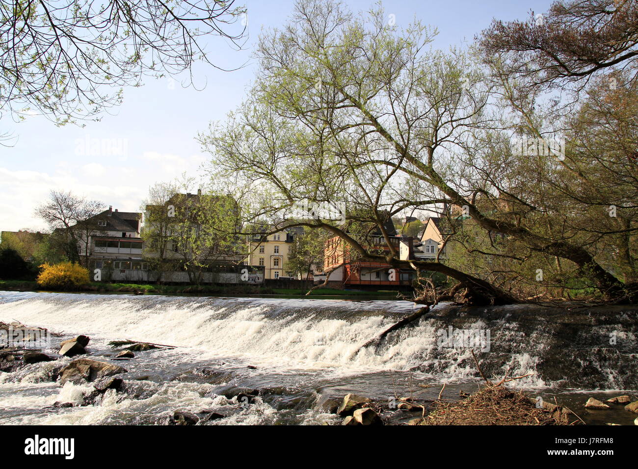 waterfall rapids bank river water shore tree trees flow fluent stone ...