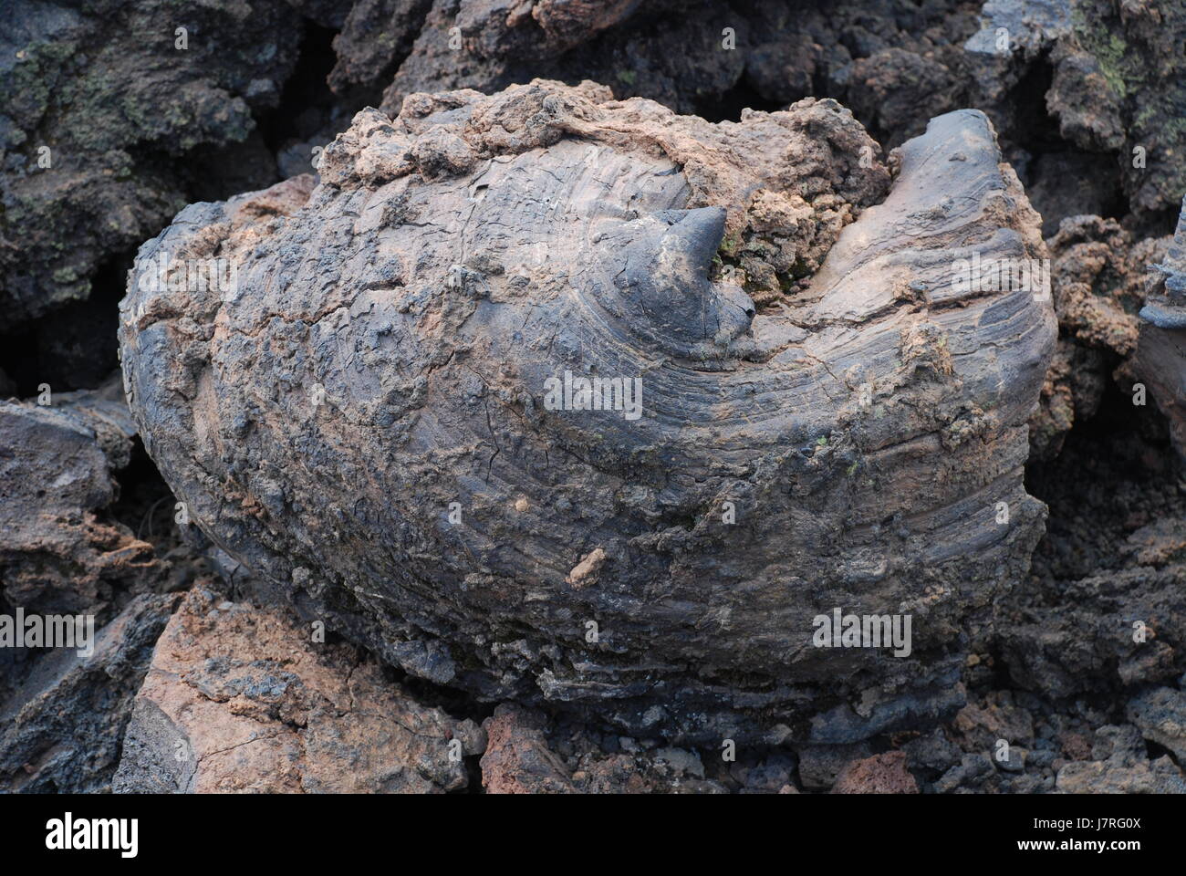 worth seeing canary islands teneriffa lava minerals vulcan volcano ...