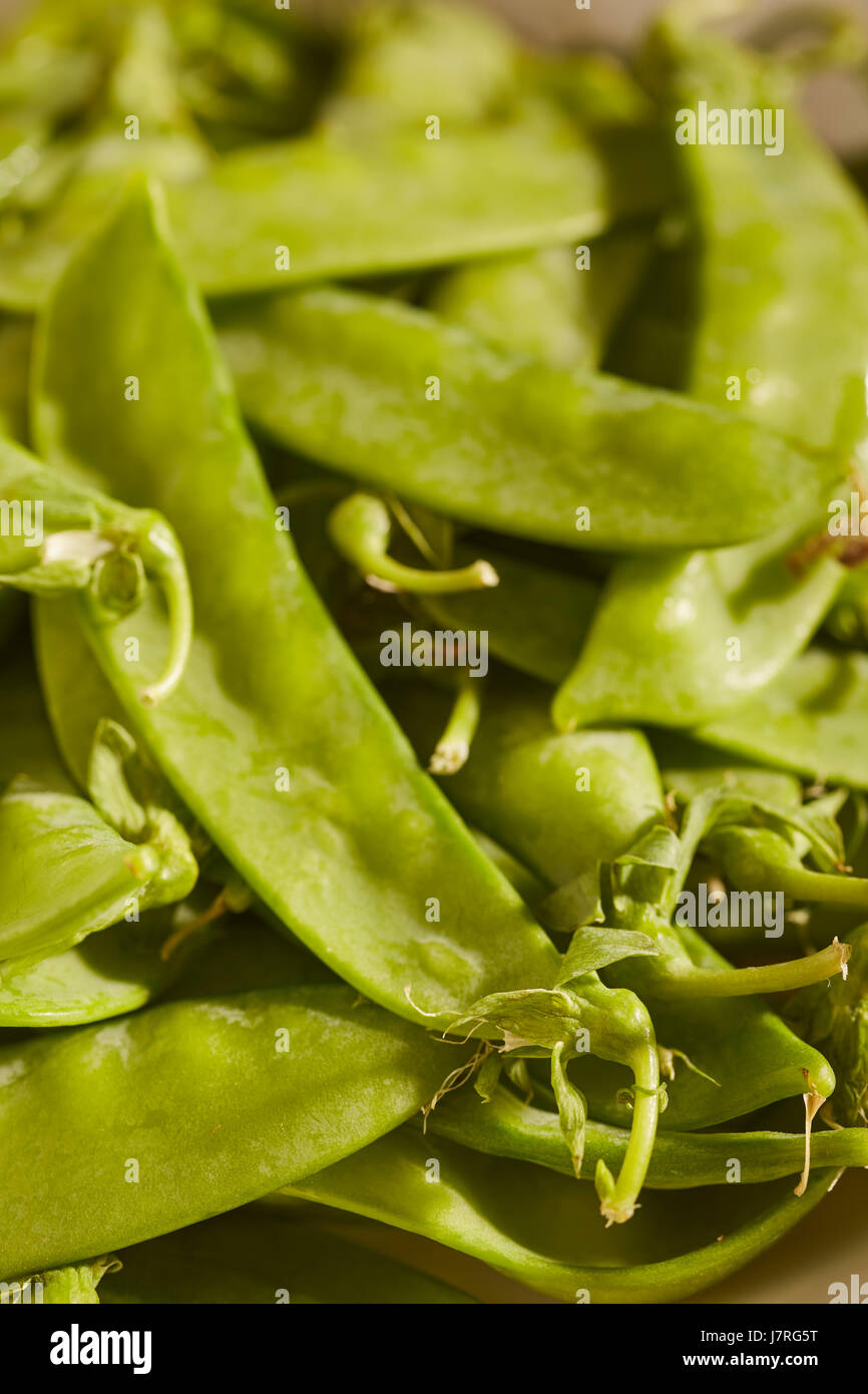 freshly picked snow peas from Pennsylvania, USA Stock Photo - Alamy