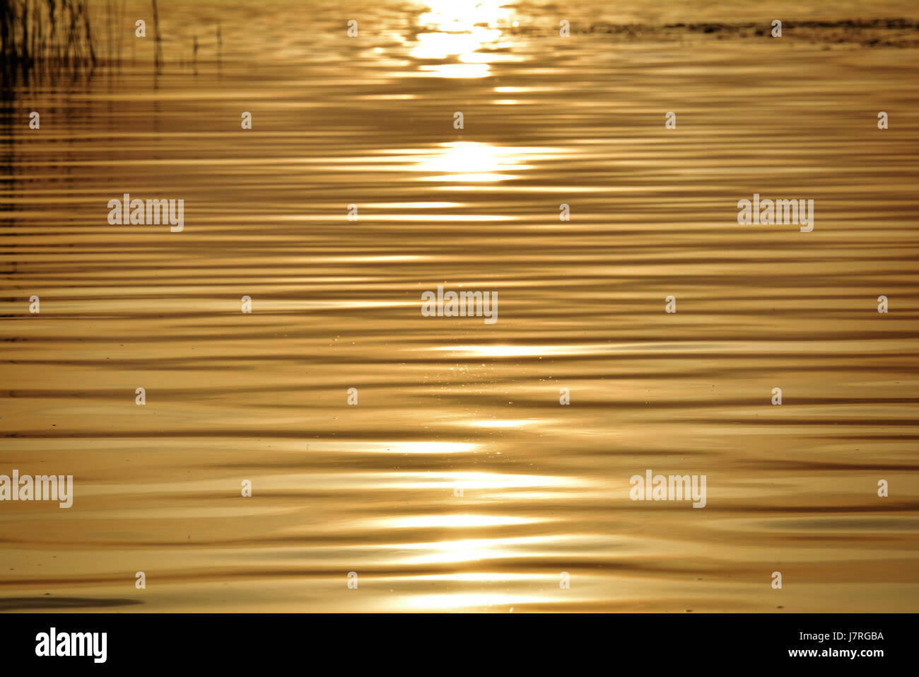 Nature abstract background. Sunrise reflection on the water surface ...