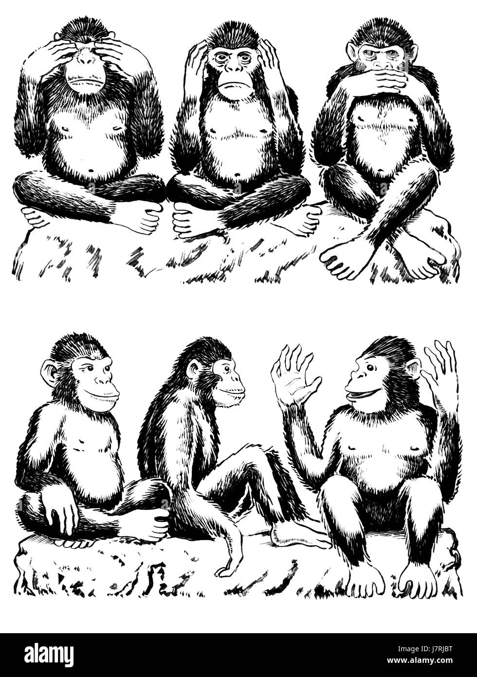talk speaking speaks spoken speak talking chat nattering monkey look ...