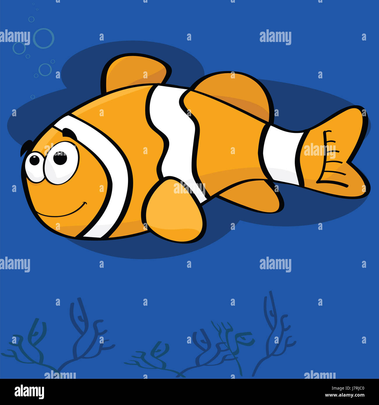 fish clown funny maddening pert coquettish cute salt water sea ocean ...