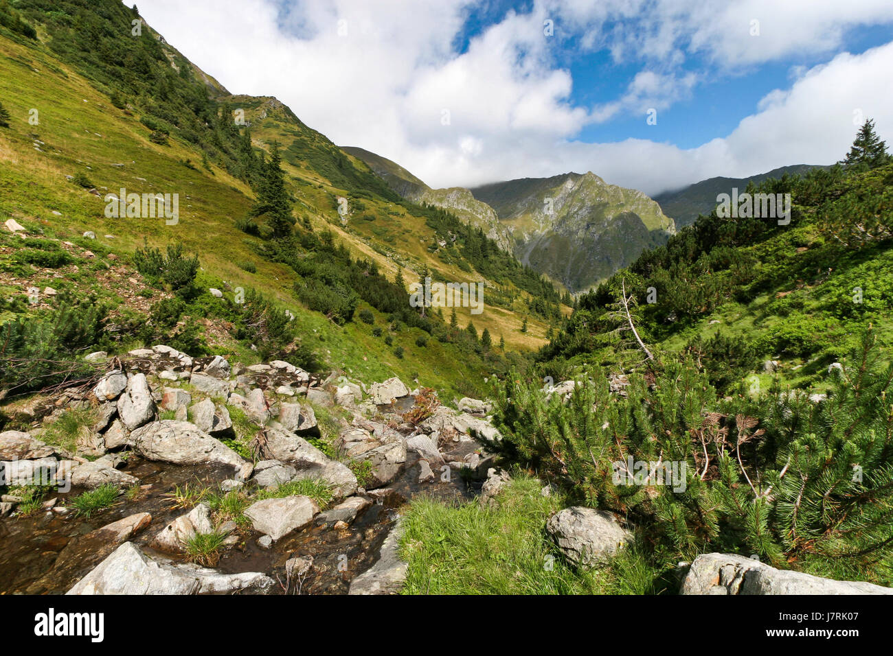blue beautiful beauteously nice environment enviroment tree mountains ...