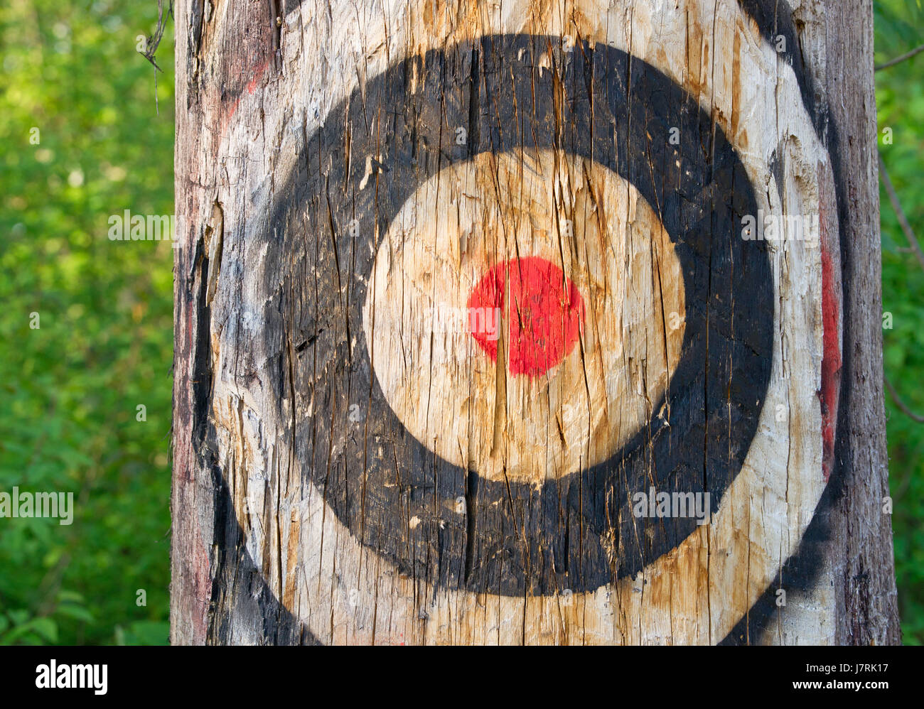 hit tree winner aim goal objectives target success forest hit ...