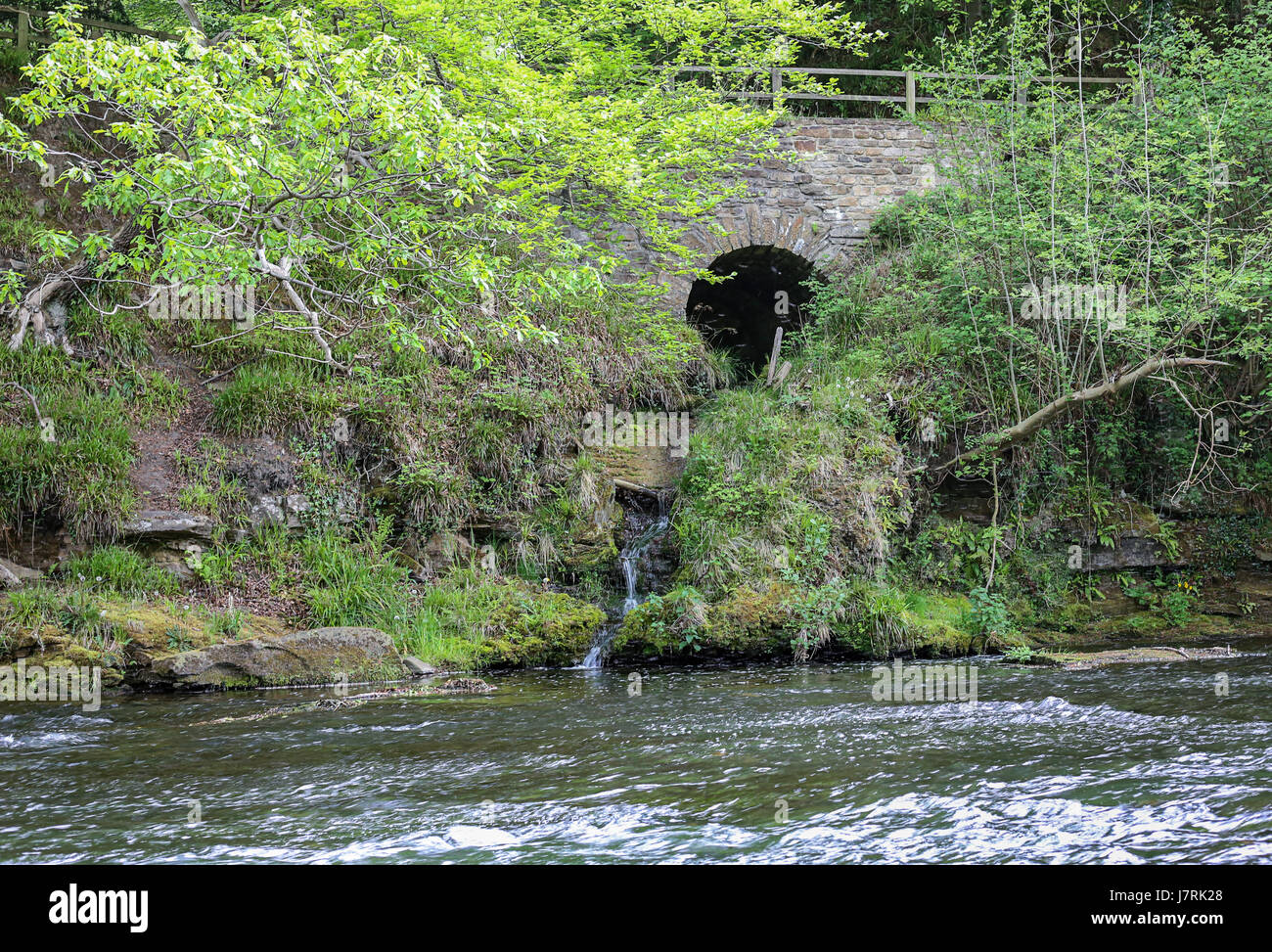 Picture of a hidden bridge in Thornley Wood Stock Photo - Alamy