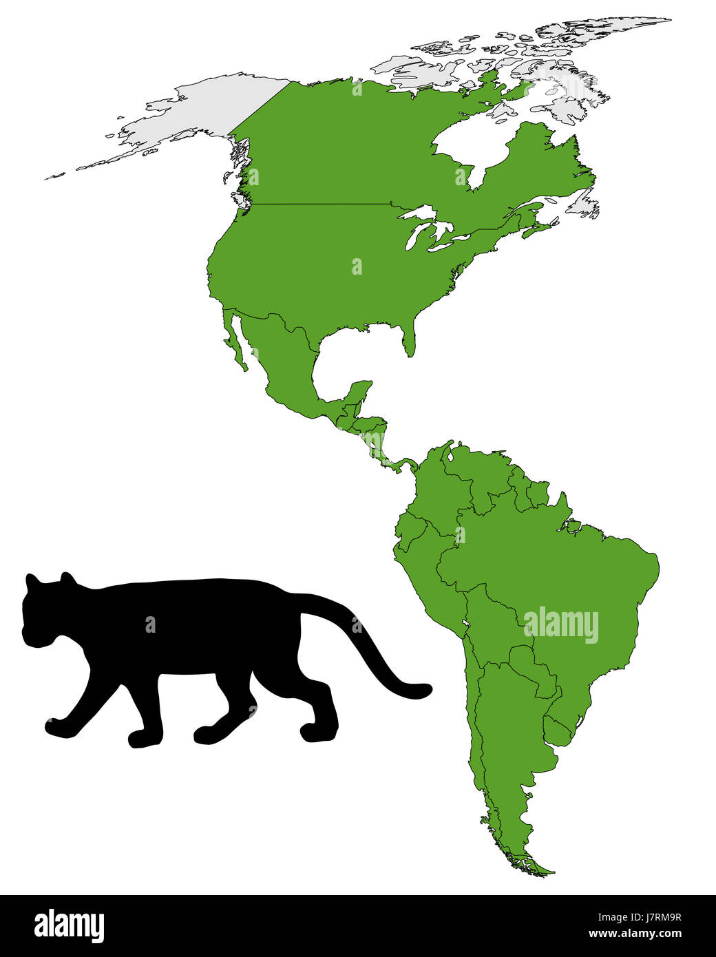 optional colour animal green big cat feline predator black swarthy ...