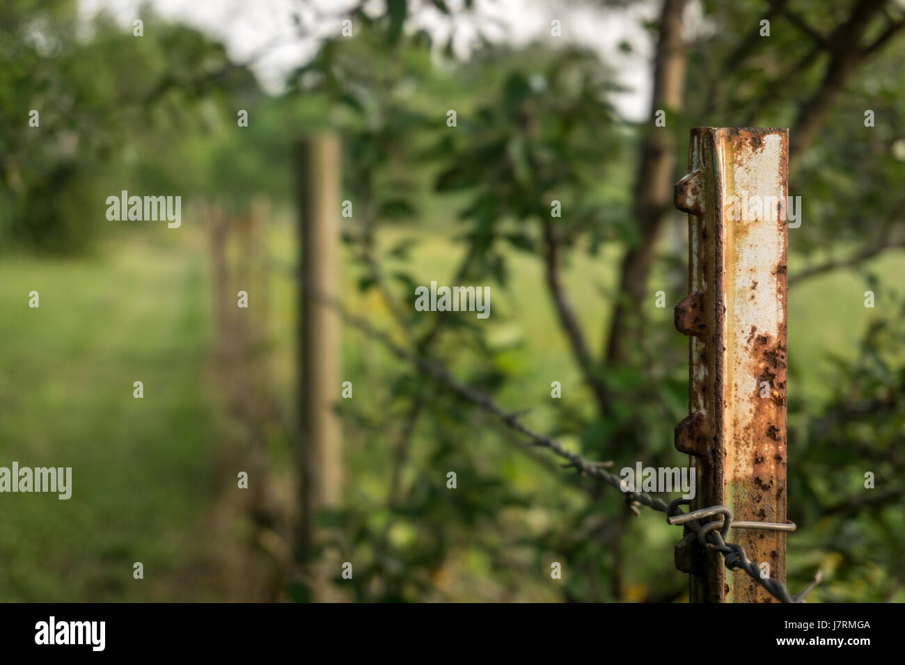 Barbed Wire on a Texas Ranch Stock Photo - Alamy
