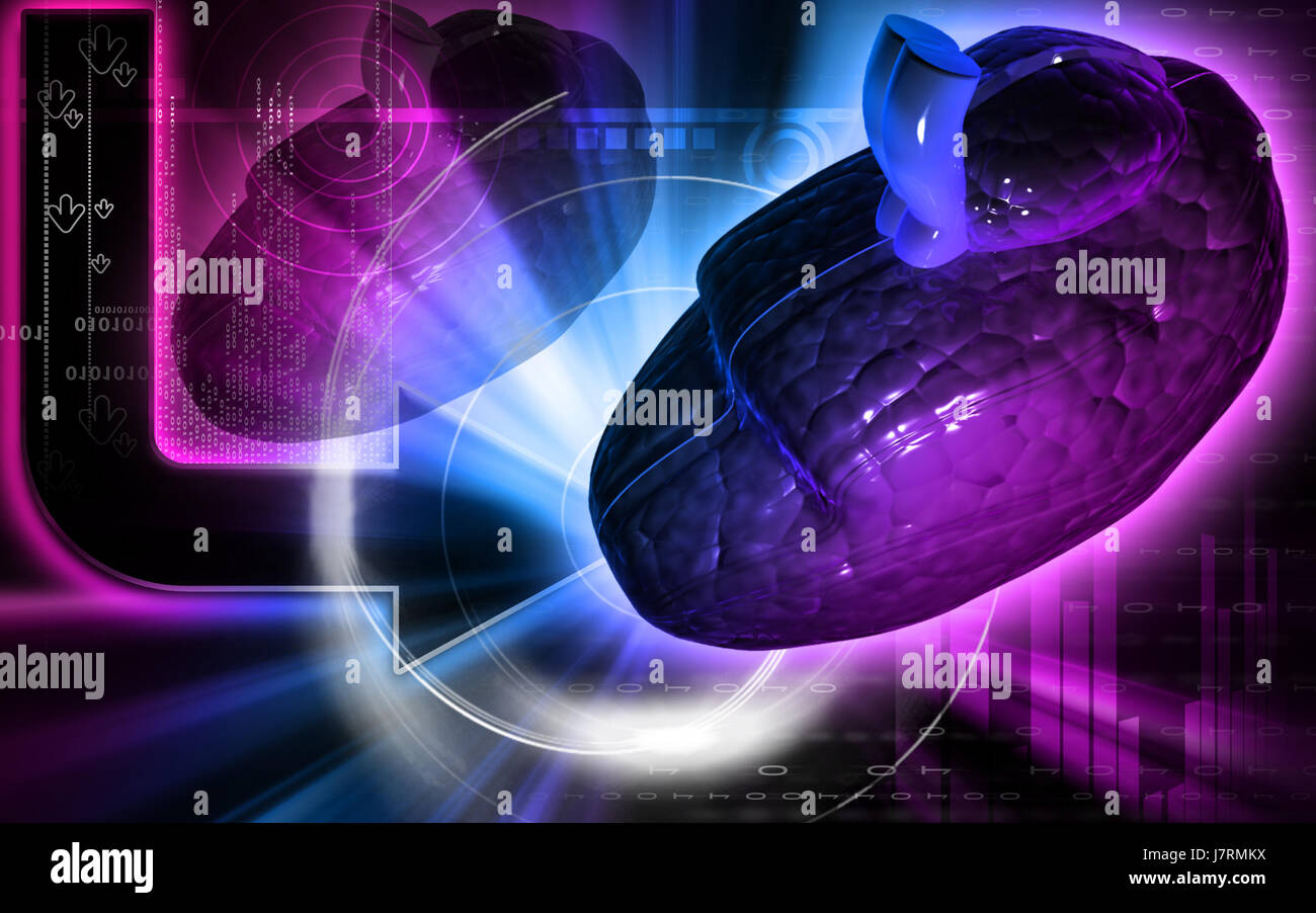 health medicinally medical graphics colour human human being ...
