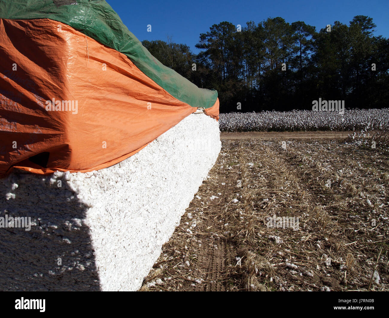 industry agriculture farming harvest south georgia cotton module ...