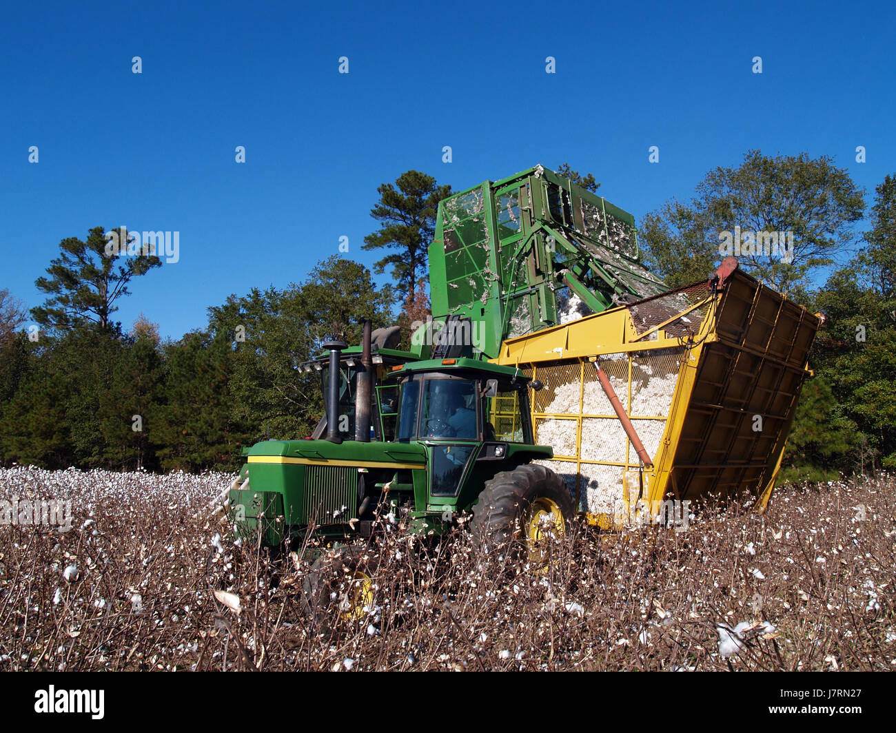 Georgia agriculture hi-res stock photography and images - Alamy
