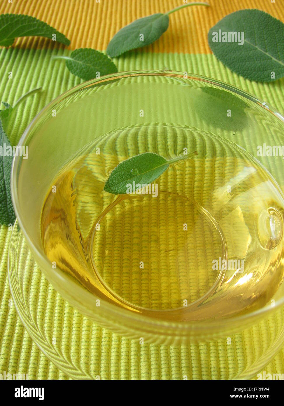 Salbeibltter hi-res stock photography and images - Alamy