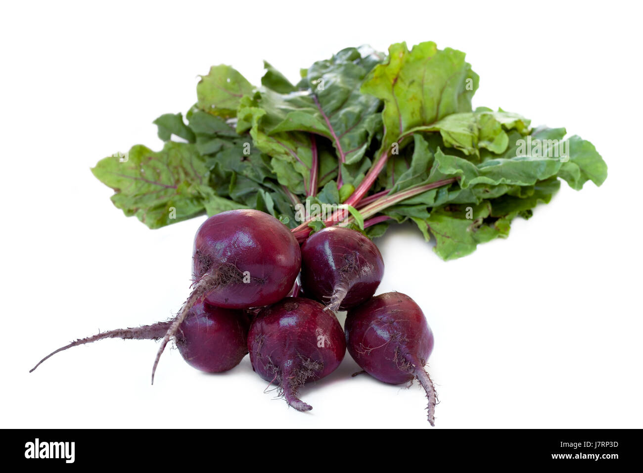 turnip beet food aliment isolated green boil cooks boiling cooking ...