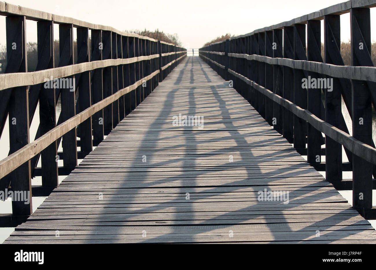 wood bridge fresh water lake inland water water reed path way alone ...