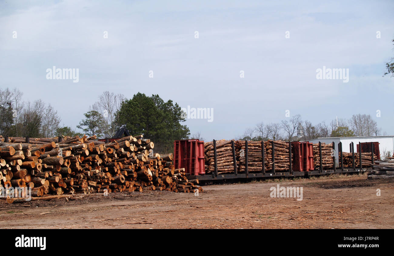 Rolling logs hi-res stock photography and images - Alamy