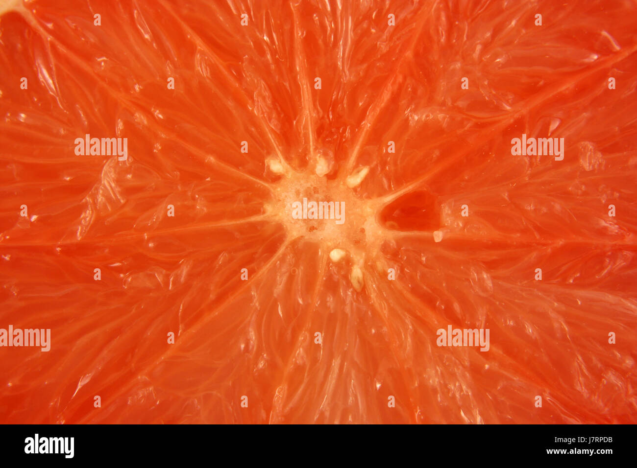 food aliment isolated freshness fruit grapefruit rind citrus backdrop ...