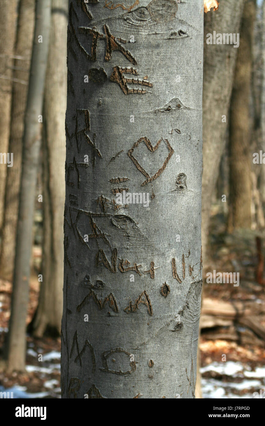 Carved woods hi-res stock photography and images - Alamy