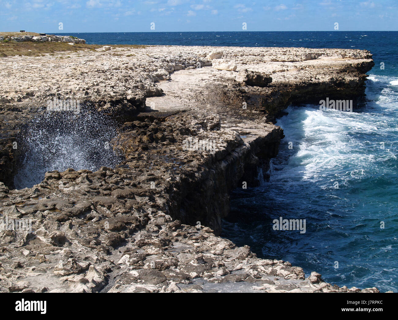 waves caribbean atlantic salt water sea ocean water blue city town park ...