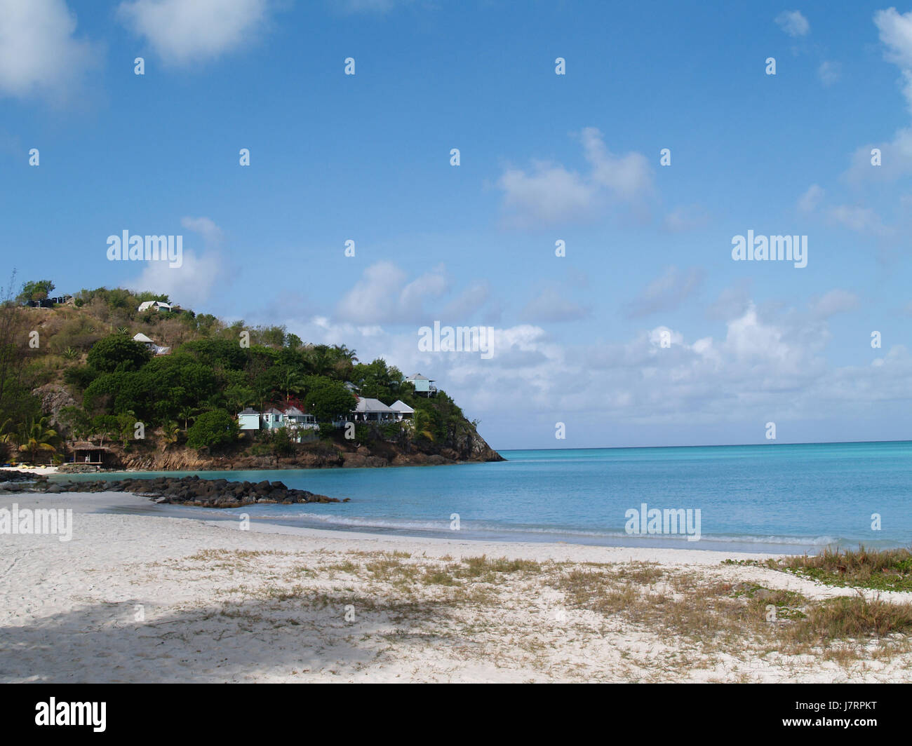 beach seaside the beach seashore tropical caribbean salt water sea ...