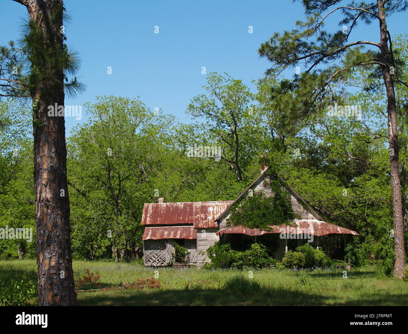 farm home condemned old abandoned house building wood broken south ...