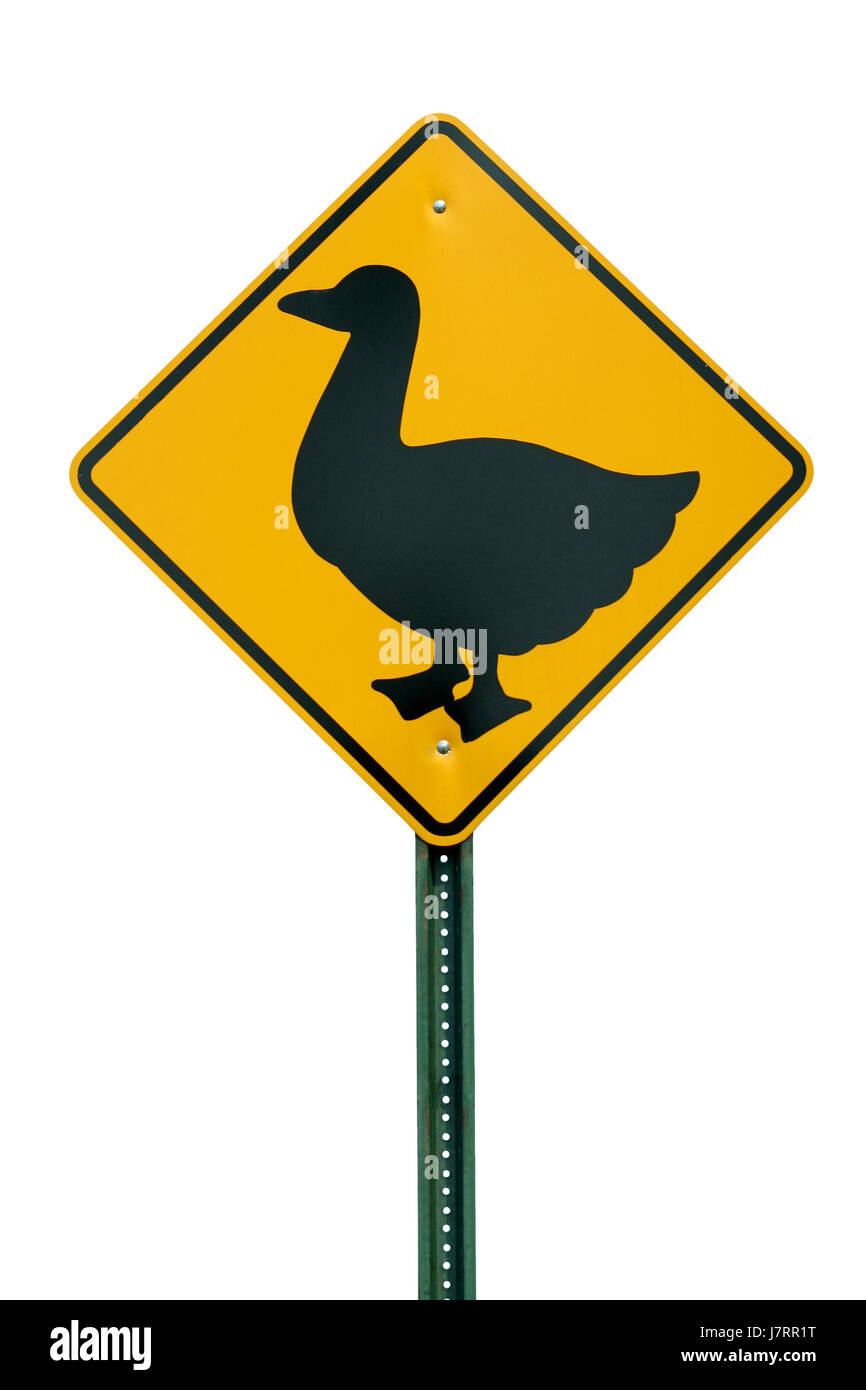 sign signal animal traffic transportation black swarthy jetblack deep ...