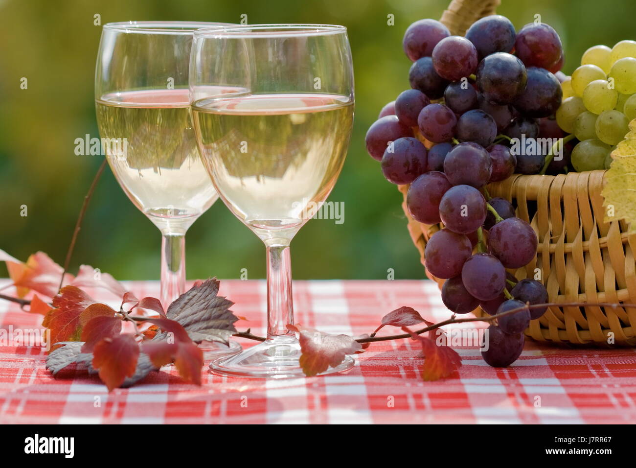 drink drinking bibs wine alcohol basket vine grape vine grape-vine ...