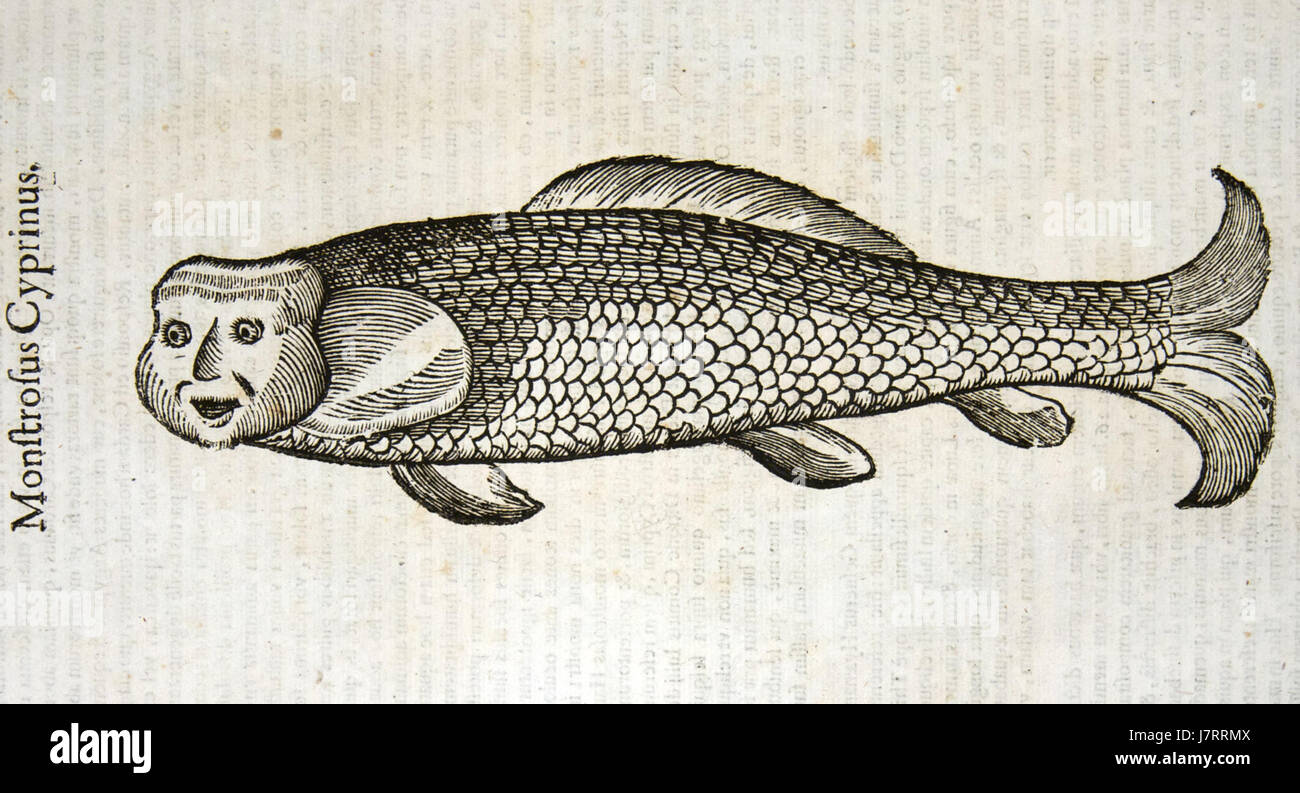 This image is a part of the Aldrovandi collection, which includes works ...