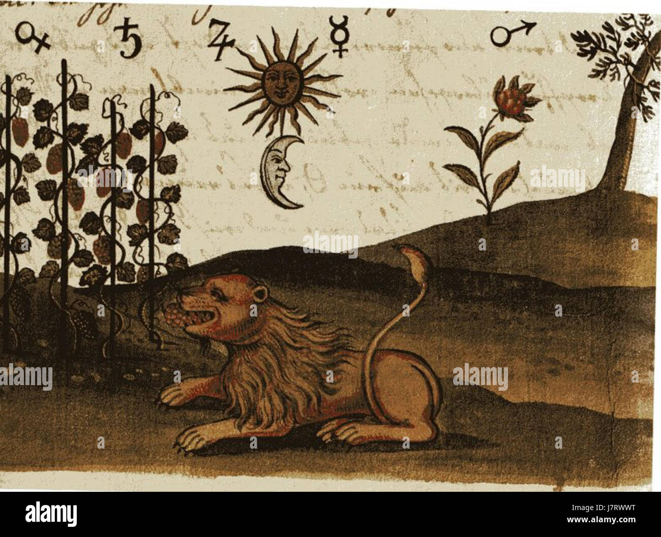 The manuscript titled 'Clavis Artis' by Verginelli Rota is a historical ...