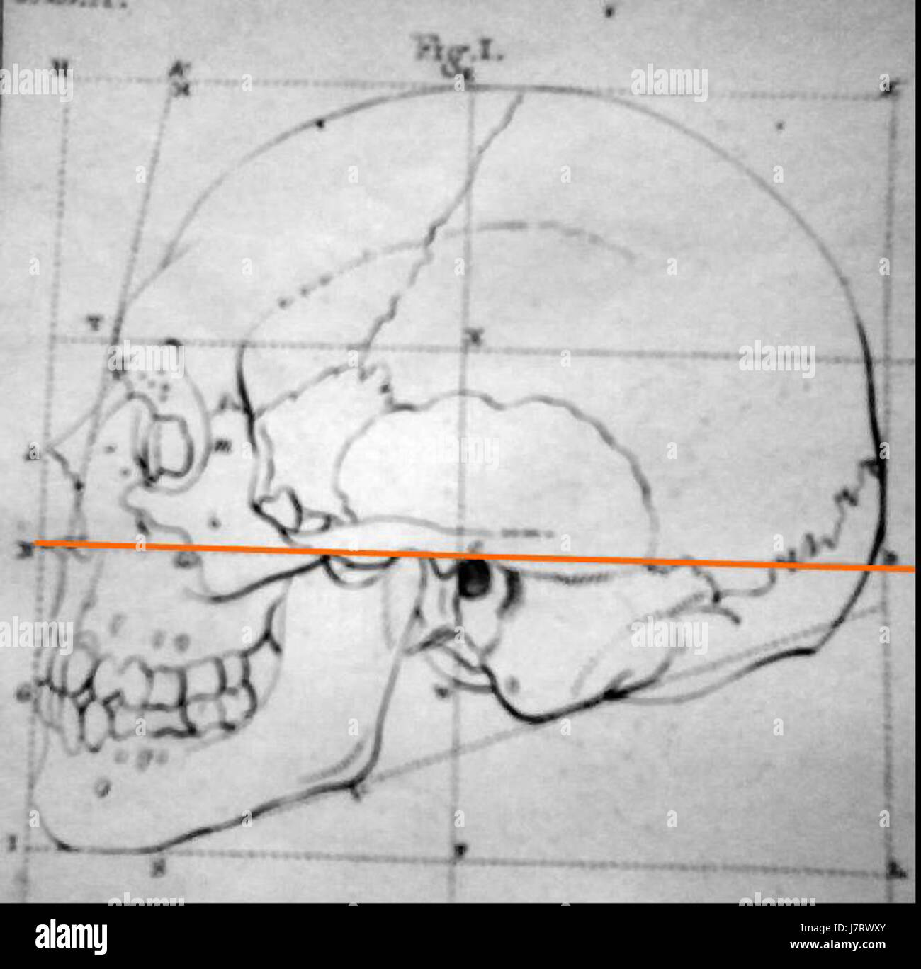 Camper Ebene refers to a historical map, or illustration, depicting a ...