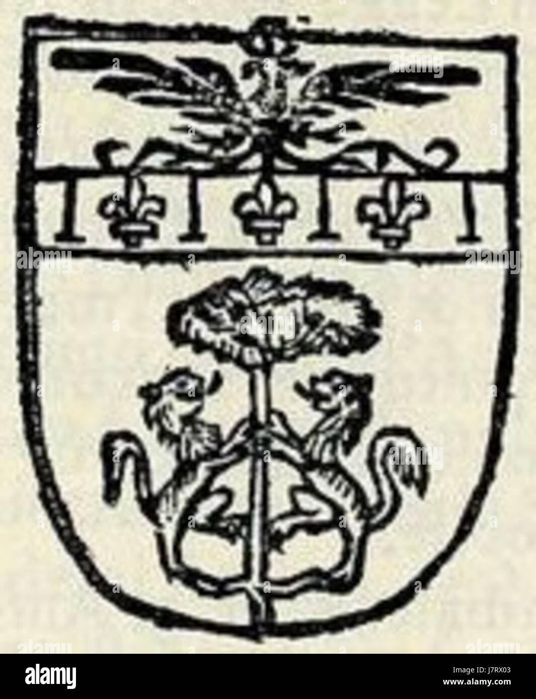 The Coa family, an Italian family, with a focus on the Morandi lineage ...