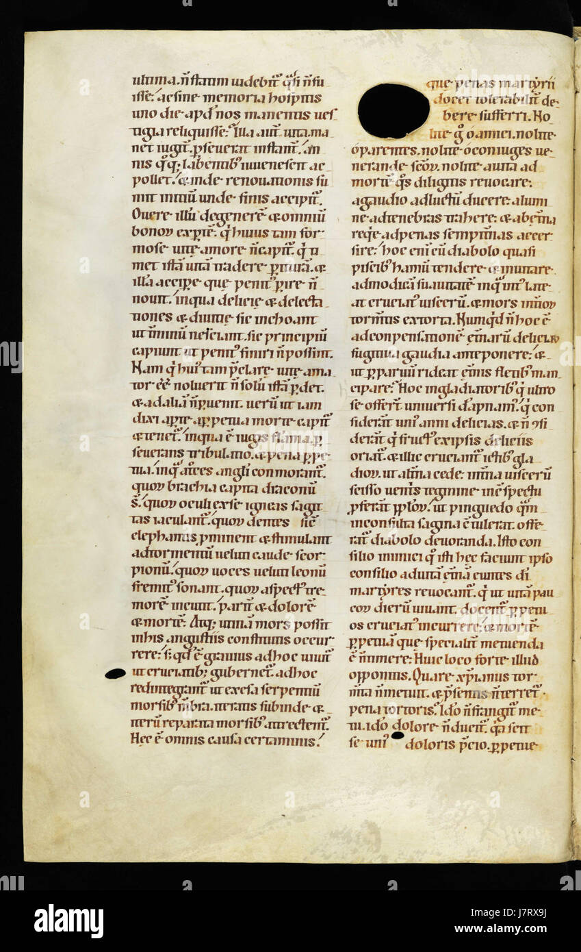 A reference to Codex Bodmer 127, a medieval manuscript from the Bodmer ...