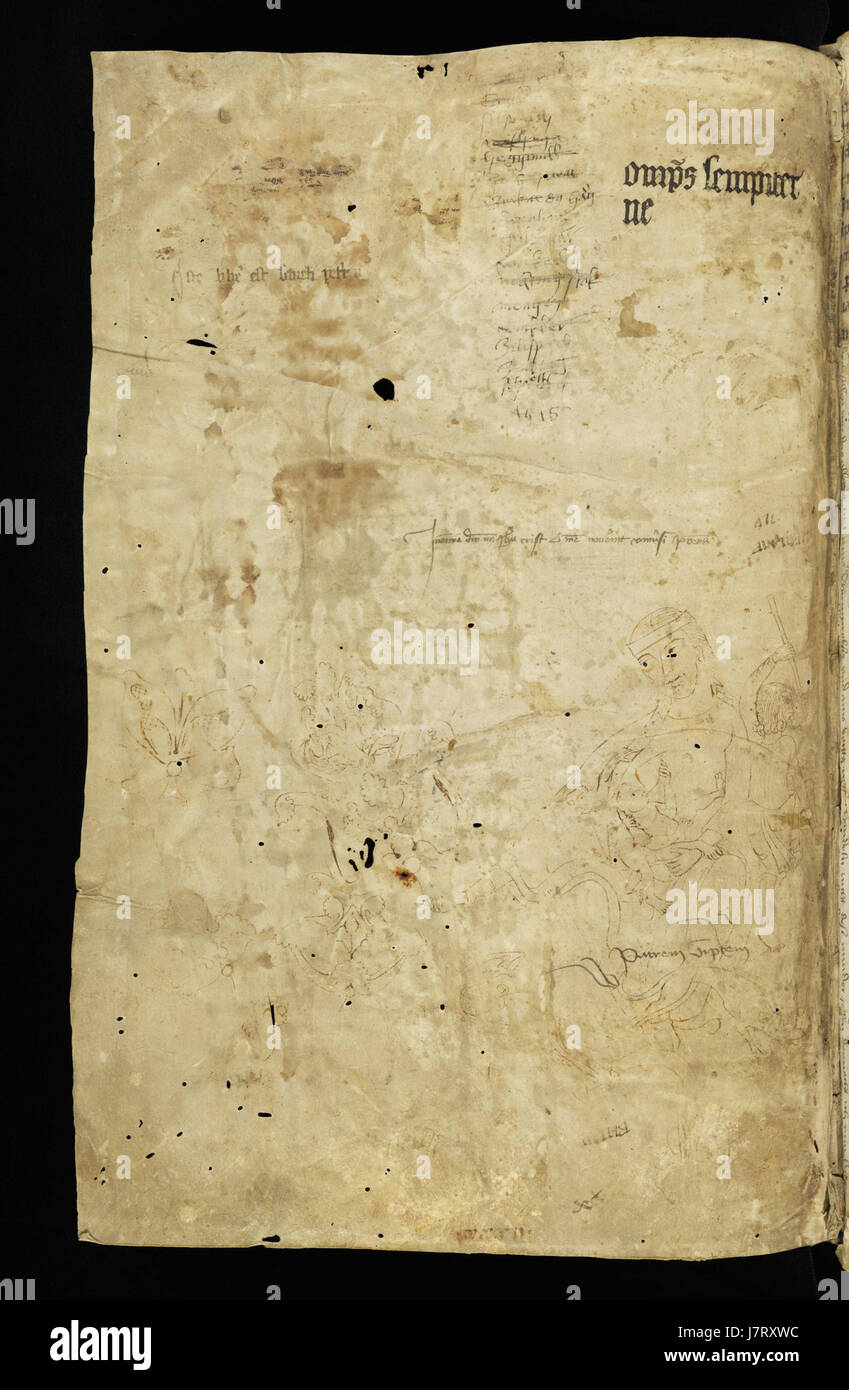 The Codex Bodmer 127 265v is an ancient manuscript of significant ...