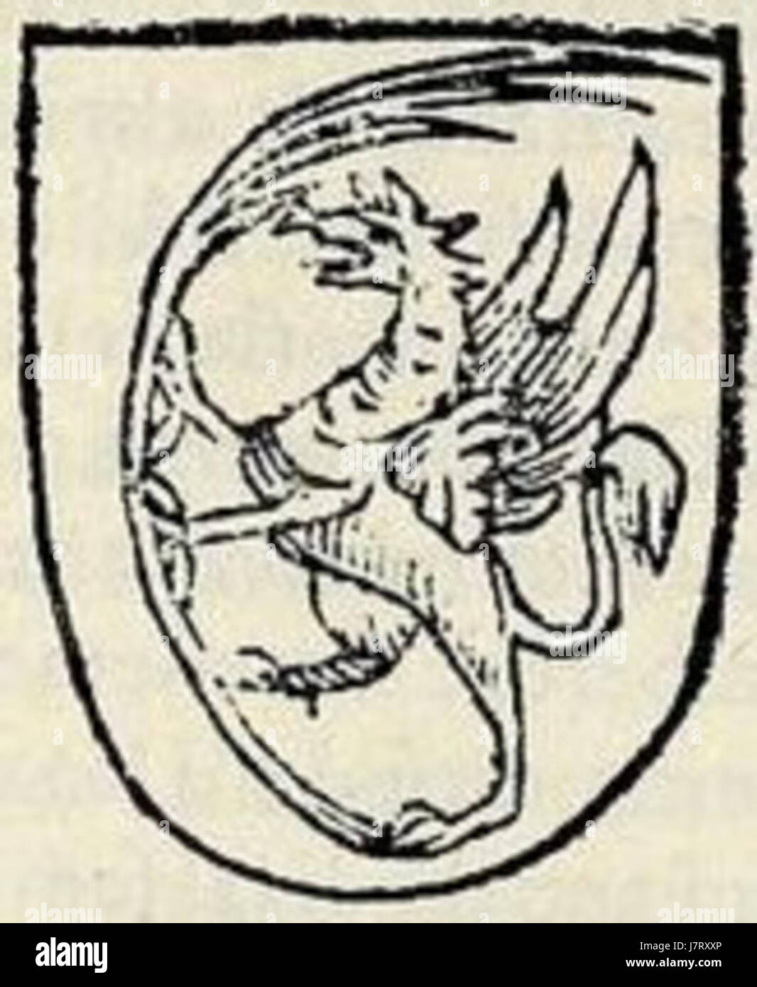 Ratta hi-res stock photography and images - Alamy