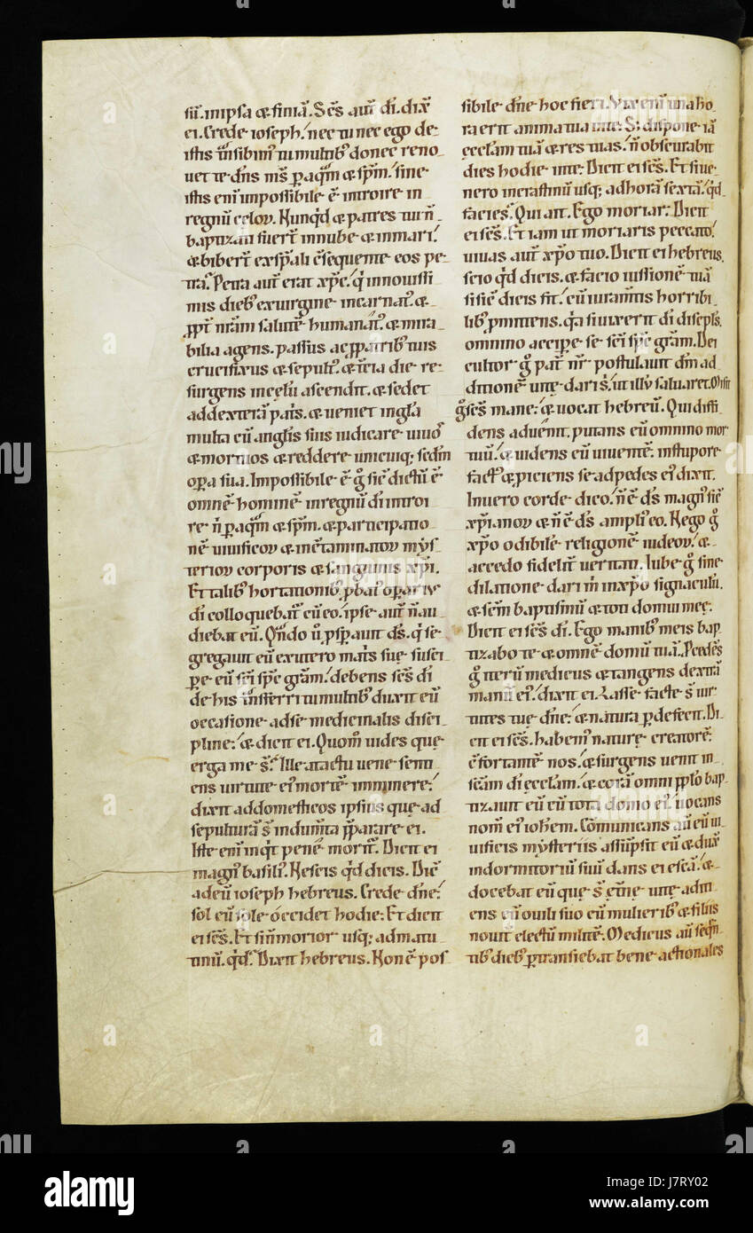 Codex Bodmer 127 143v is a manuscript from the Bodmer collection ...