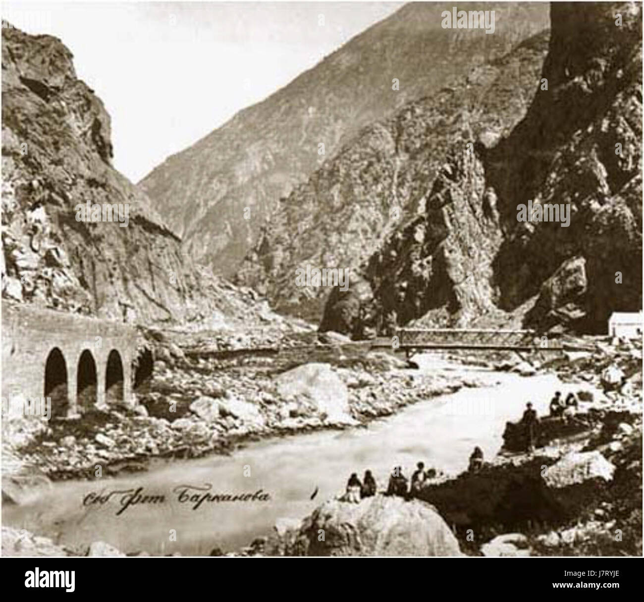 Terek hi-res stock photography and images - Alamy