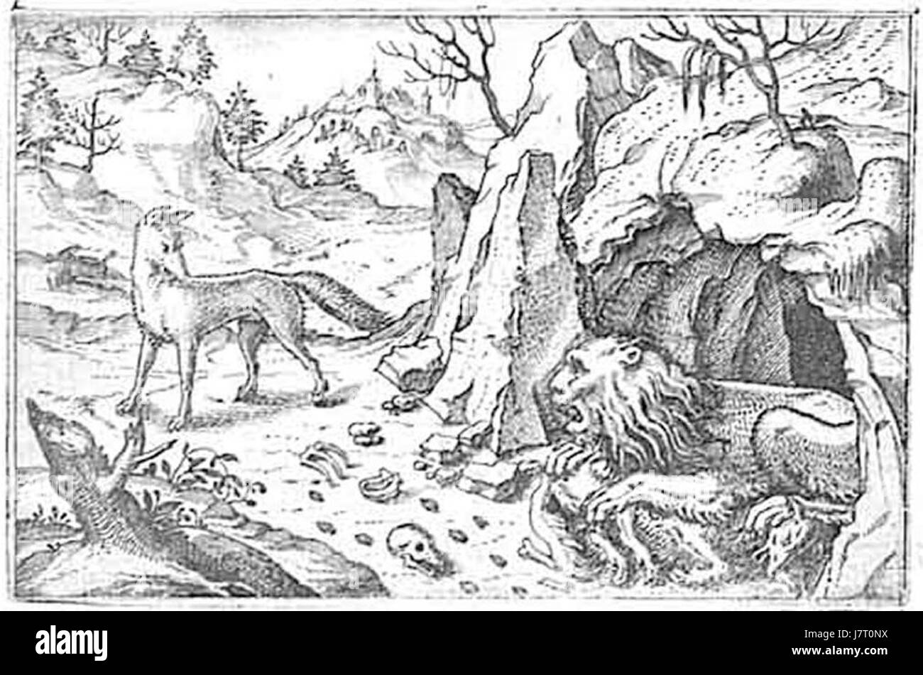 The term 'Ausschnitt' refers to a 'section' or 'excerpt' in German ...