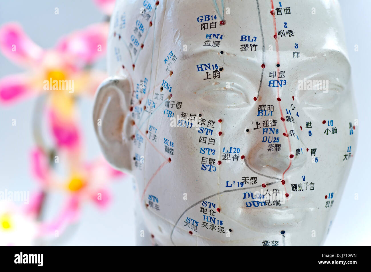 acupuncture asiatic traditional cure needles acupuncture naturopathy ...