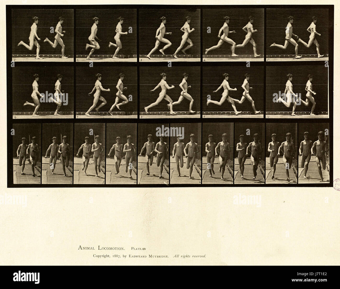 Features sequential stages hi-res stock photography and images - Alamy