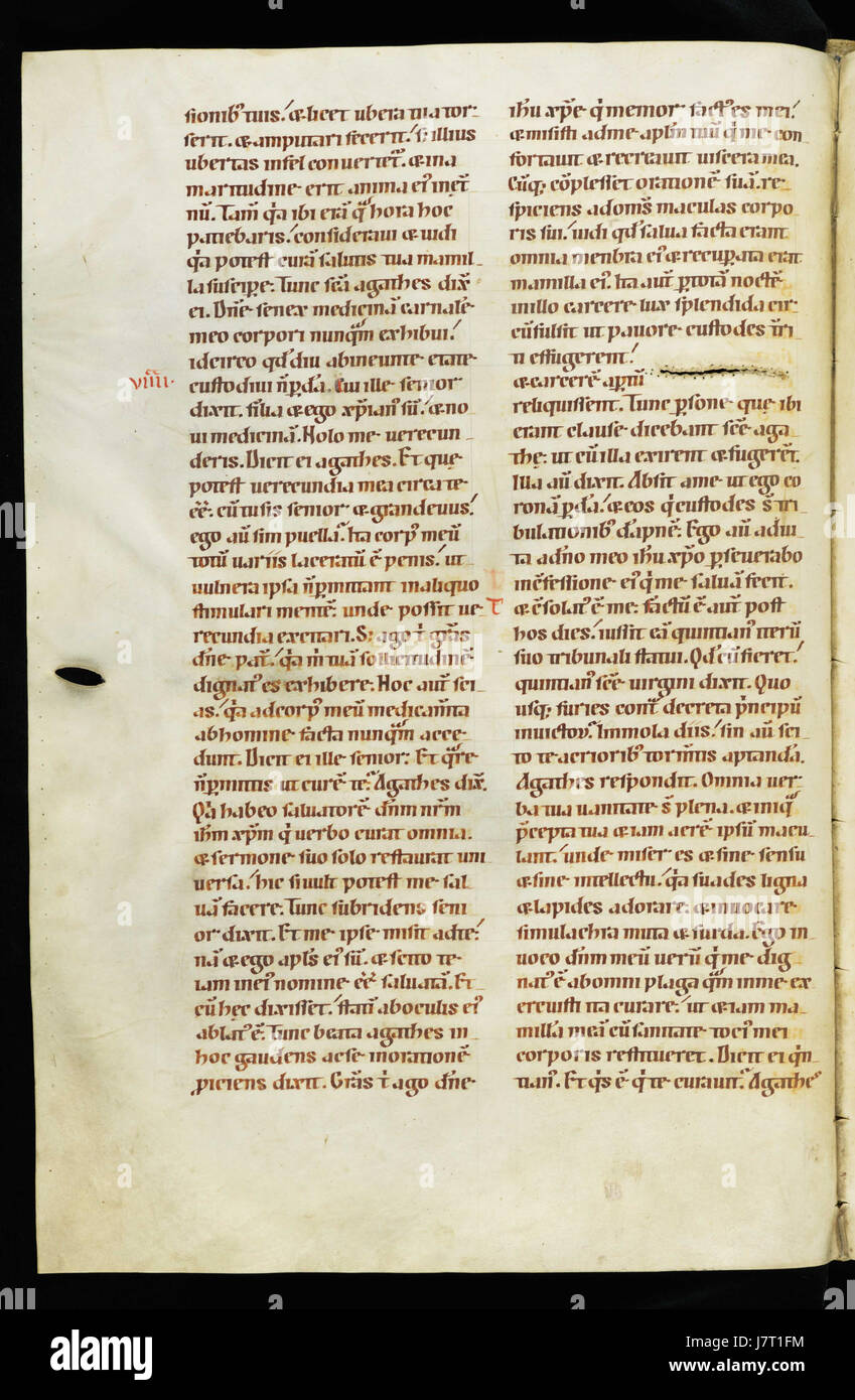 The Codex Bodmer 127 041v is a manuscript page from the Bodmer ...