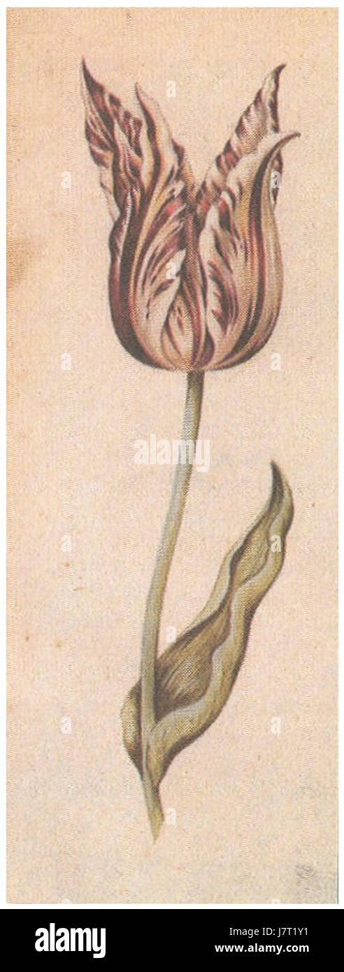 Claesz artwork hi-res stock photography and images - Alamy