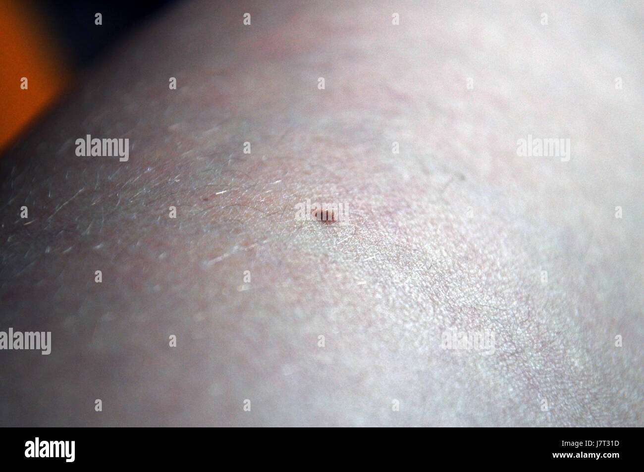 This cryptic or encoded reference, '1D I k ouC8,' may indicate a ...