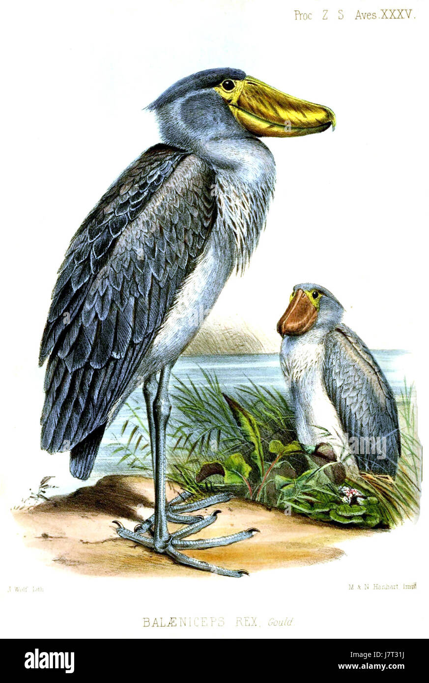 Africa at large Cut Out Stock Images & Pictures - Alamy