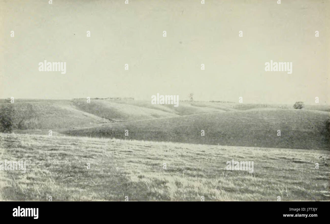 'A Typical Iowa Prairie' explores the history of Iowaâ€™s prairies ...