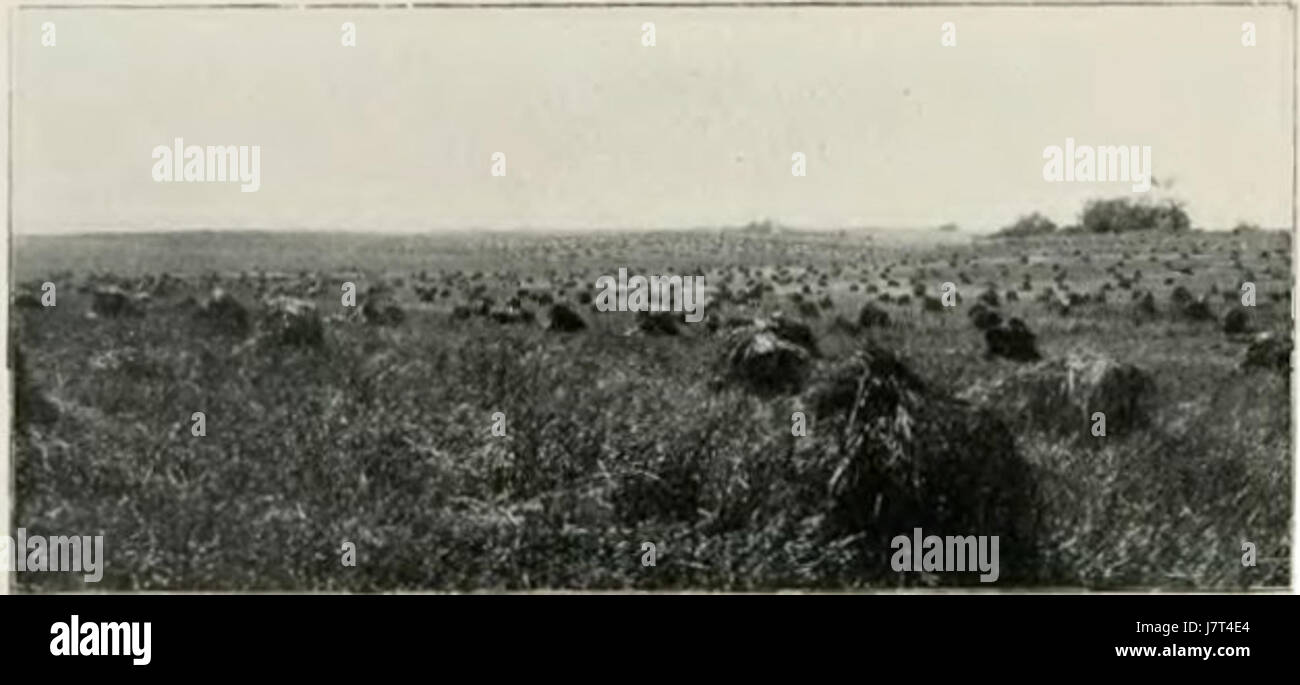 Old iowa farm photo hi-res stock photography and images - Alamy